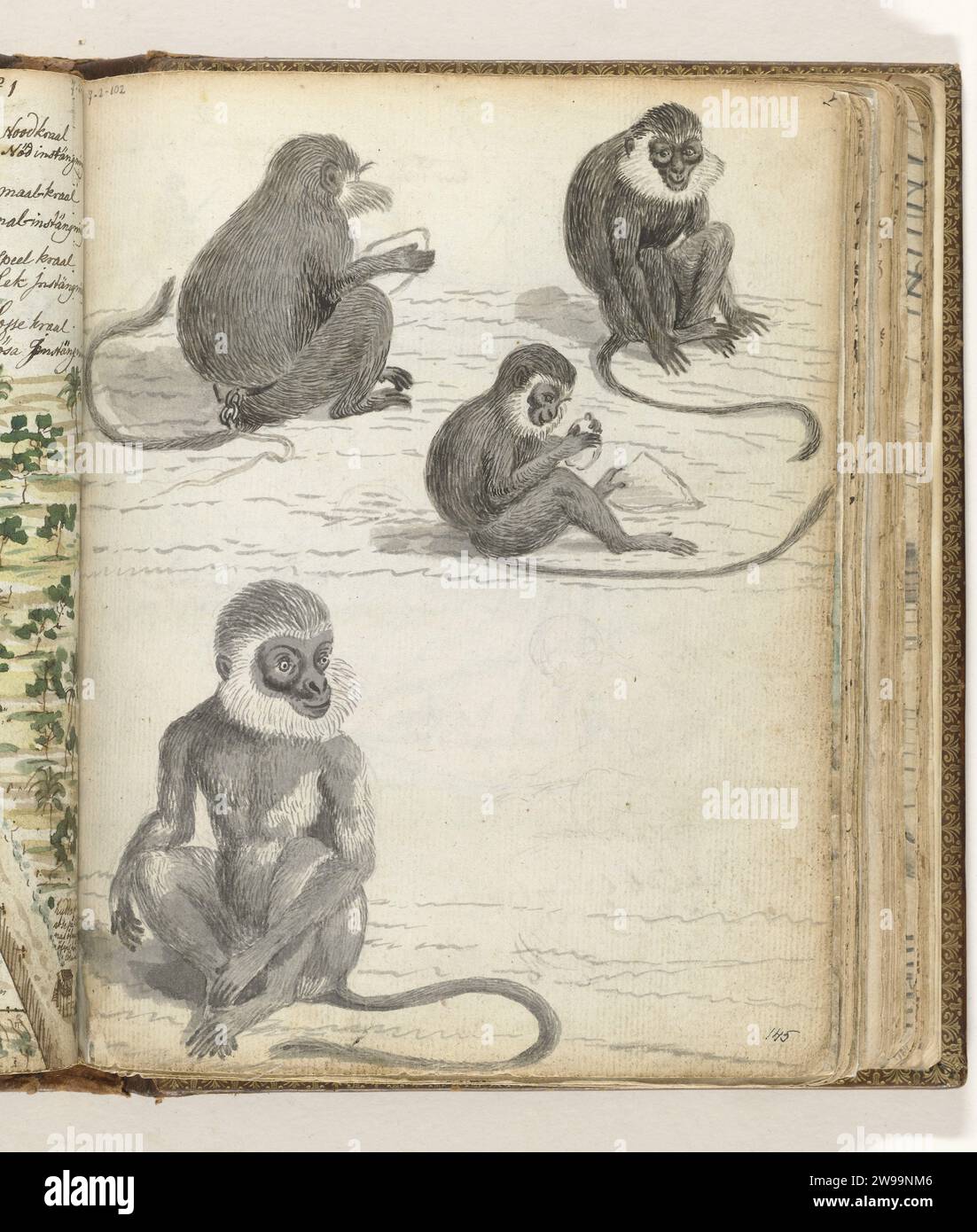 Rollway -Aap, Jan Brandes, 1779 - 1786 drawing Black white drawing of a ...