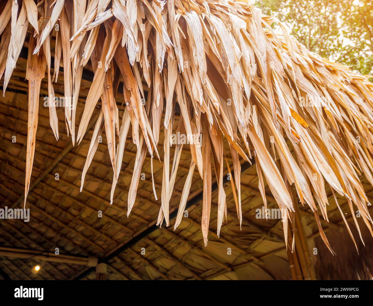 thatch roof made from dry grass Stock Photo - Alamy