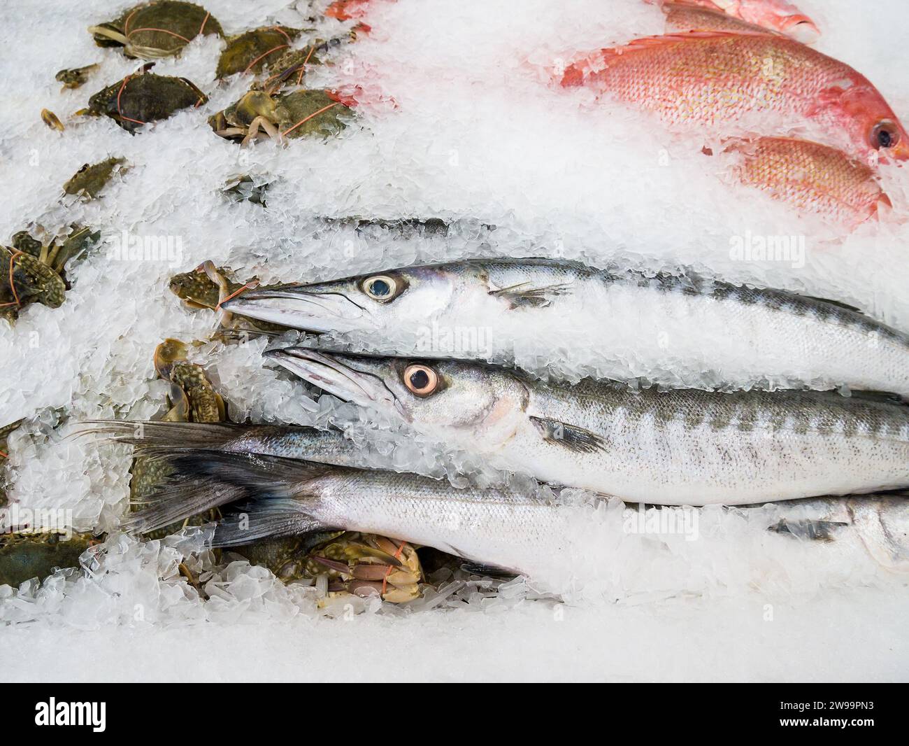 Fresh fish on ice at the fish market Stock Photo - Alamy