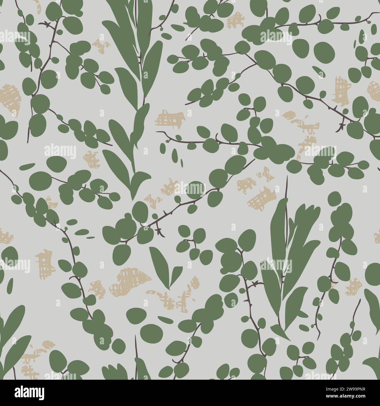 Vector grey tropical round leaf creeper plant duit-duit Pyrrosia ...