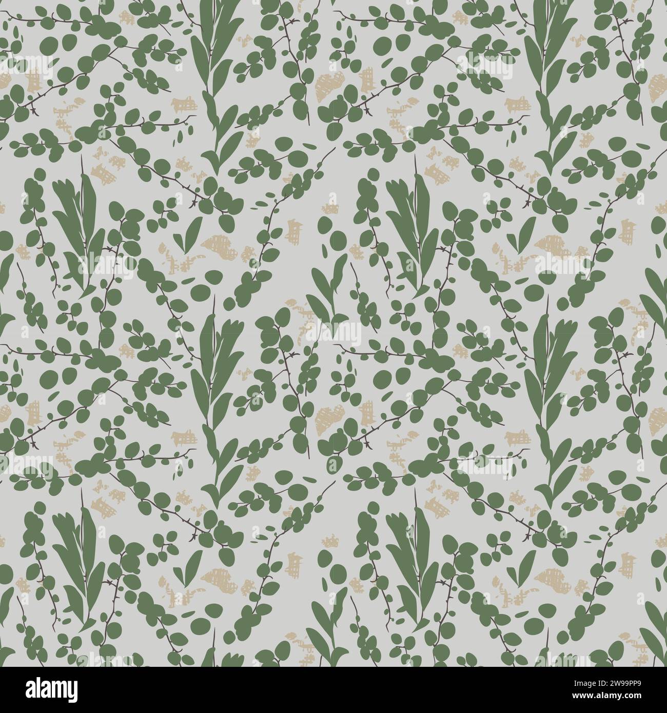 Vector grey tropical round leaf creeper plant duit-duit Pyrrosia ...