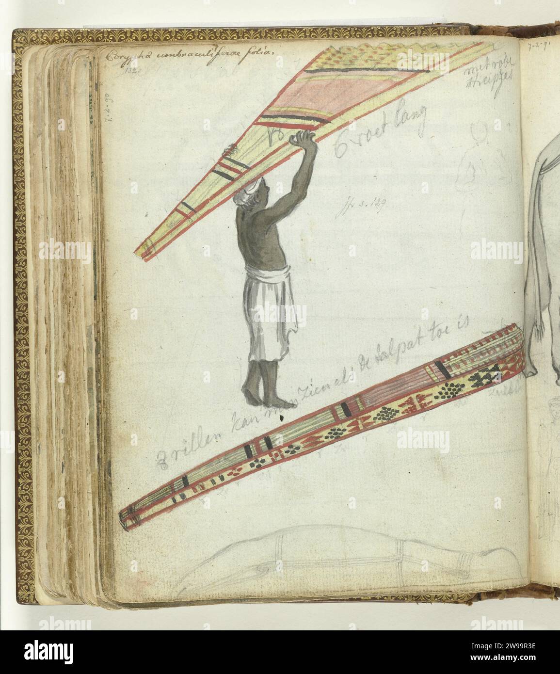 Singalese with awning. Folded awning. Rug elephant with rig., Jan ...