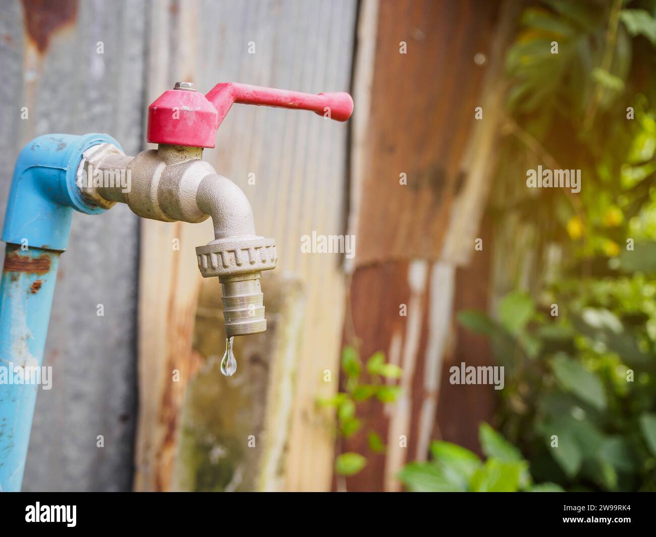 water drop from water tap Stock Photo - Alamy