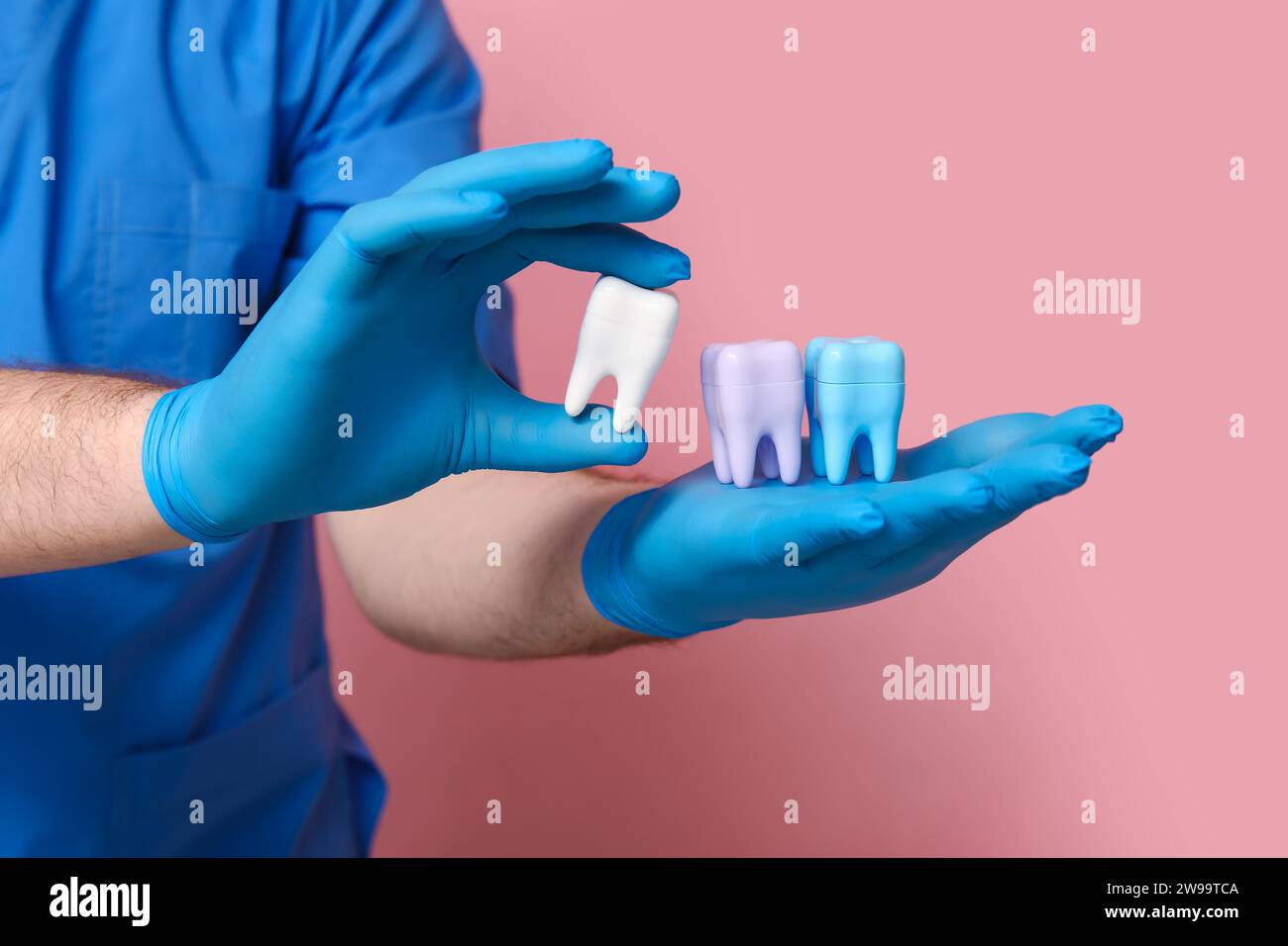Dentist with tooth models on pink background, closeup. World Dentist ...