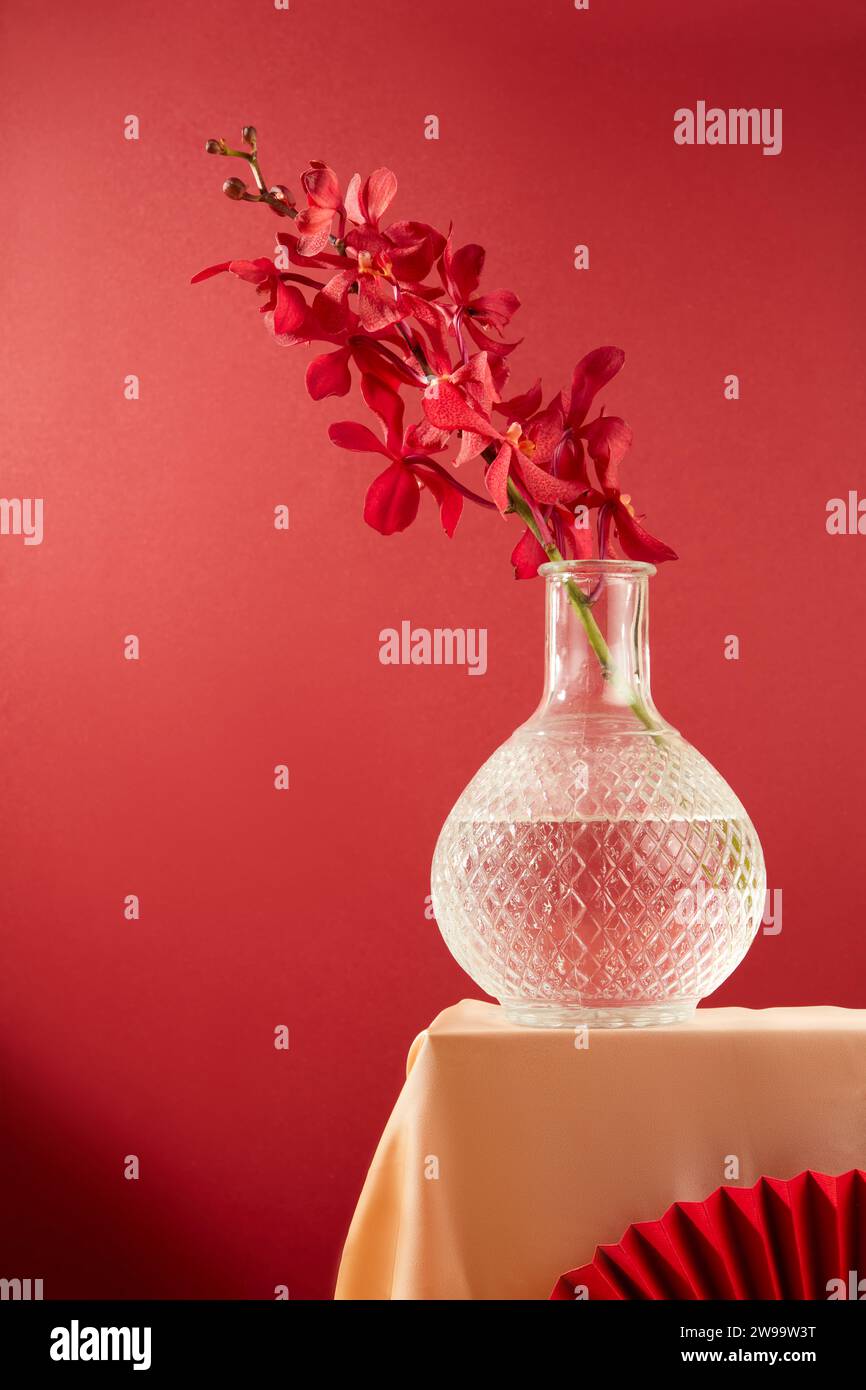 A red orchid branch is placed in a transparent glass vase on a red ...