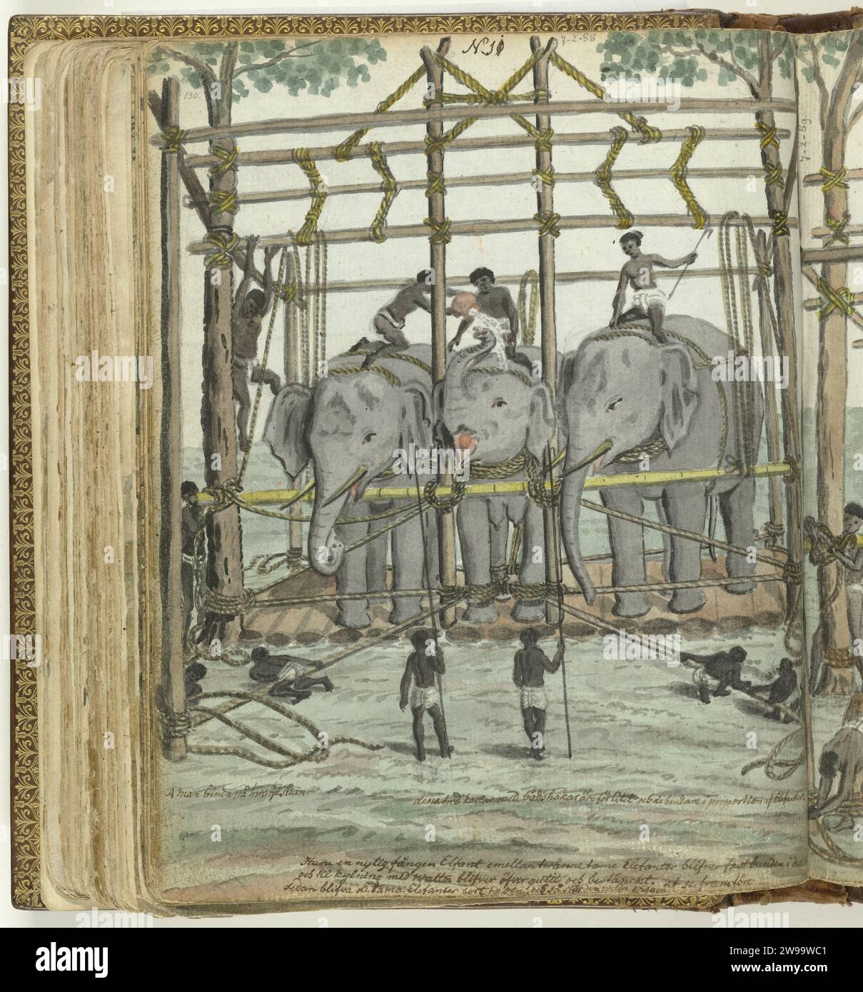 Taming an elephant, Jan Brandes, 1785 drawing Voora view in the color ...