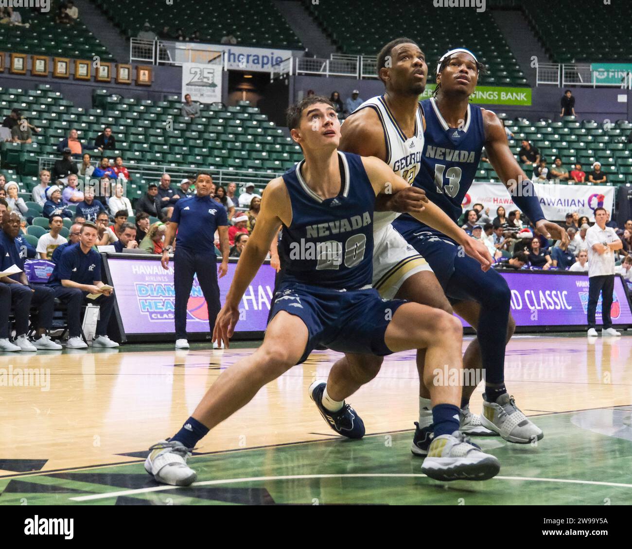 Daniel foster hi-res stock photography and images - Alamy