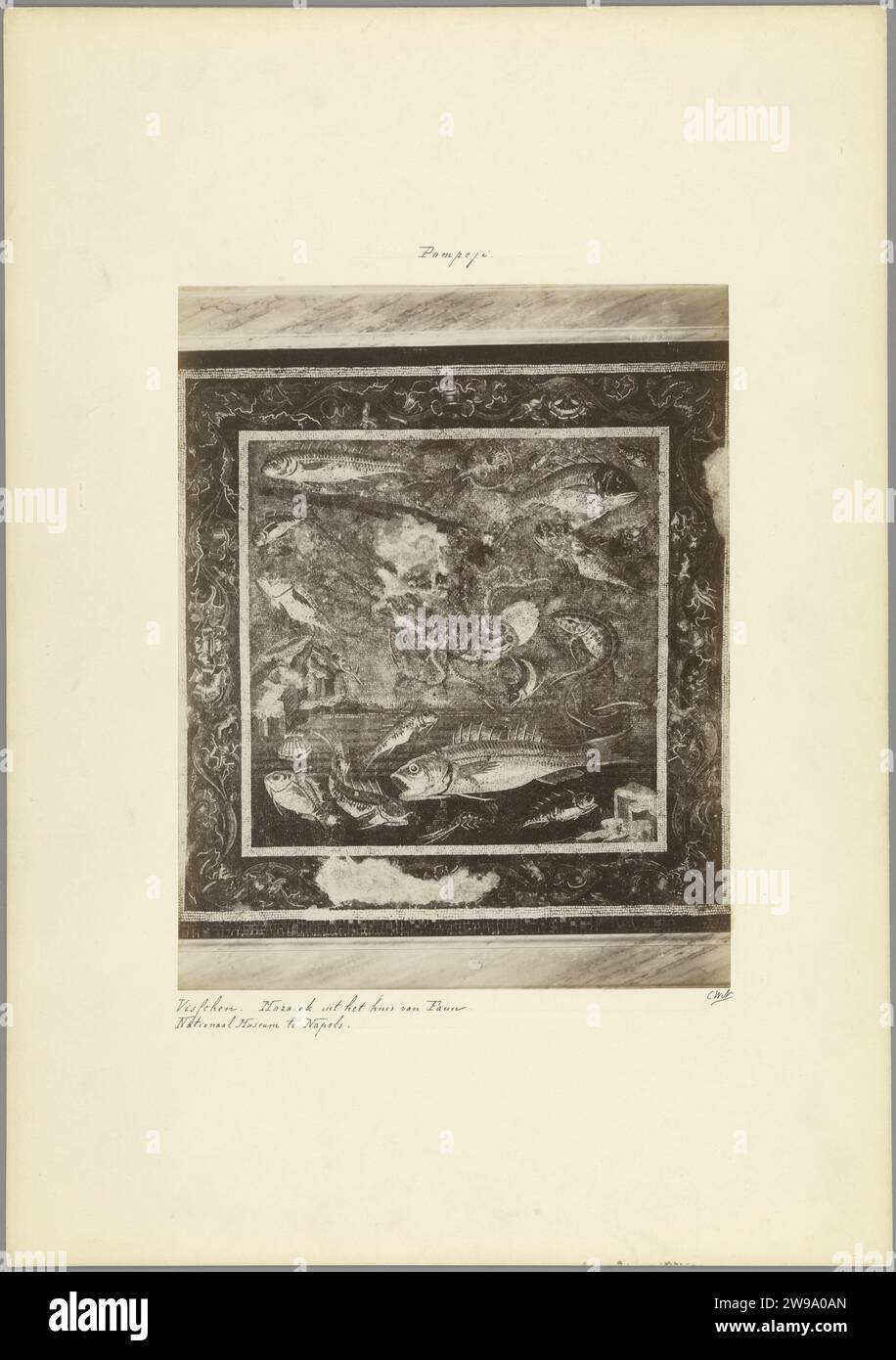 Mosaic with fish from Pompeii, c. 1875 - c. 1900 photograph National ...