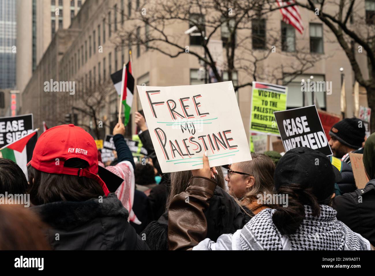 Hundreds of pro-Palestinian protesters rally on Rockefeller plaza and ...