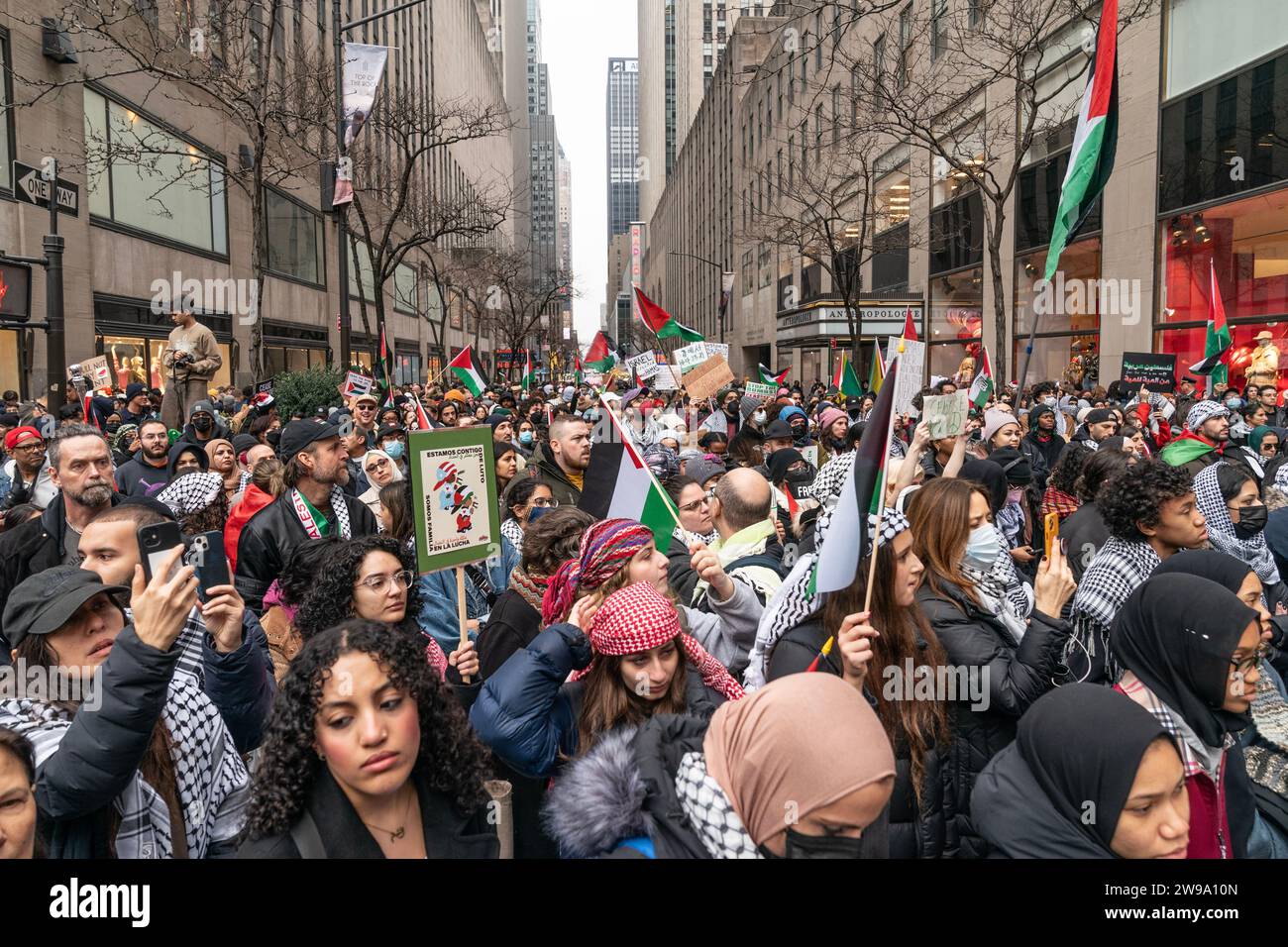 Hundreds of pro-Palestinian protesters rally on Rockefeller plaza and ...