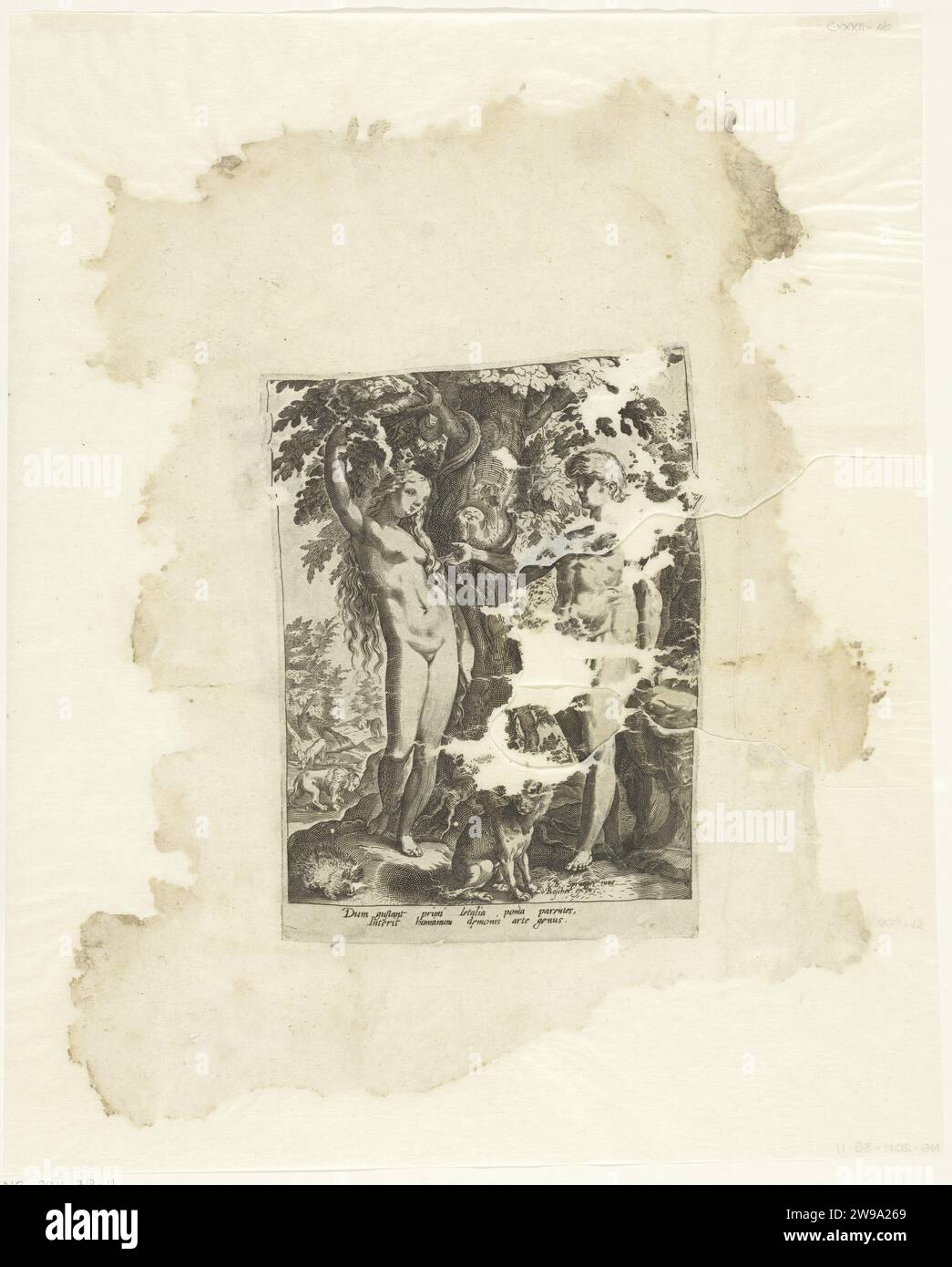 Fragments of text in latin hi-res stock photography and images - Alamy