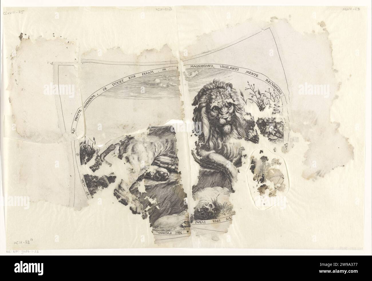 Leeuw, Jacques de Gheyn (II), 1580 - c. 1596 print Oval representation ...