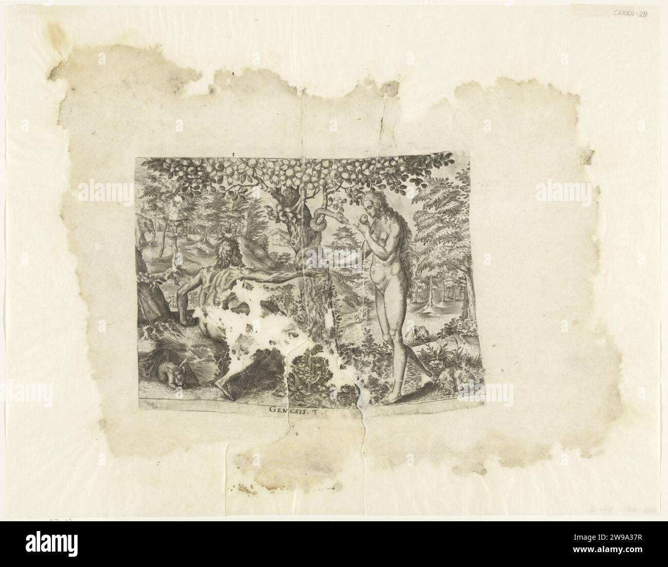 Adam in Eva, Anonymous, 1570 - 1590 print Adam and Eva stand for the ...