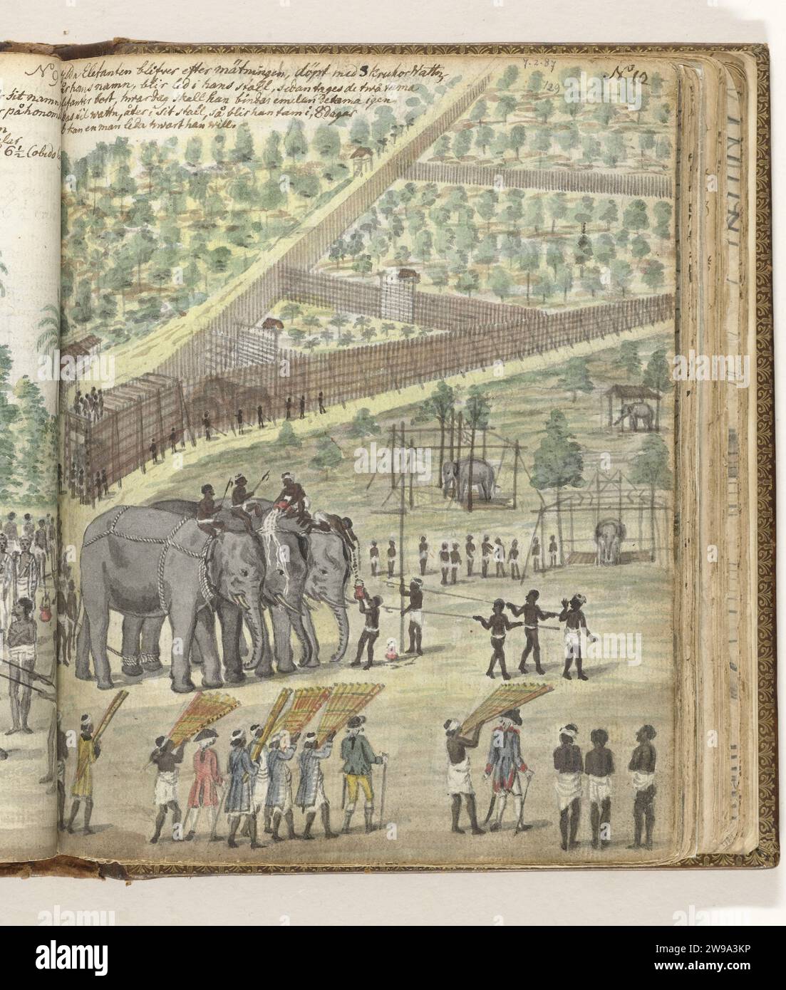 'Baptizing' an elephant, Jan Brandes, 1785 drawing Overview drawing in ...