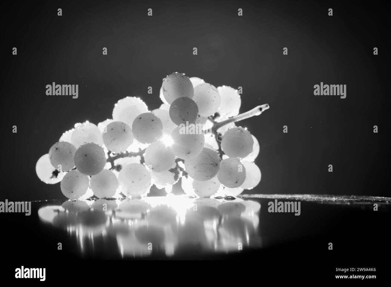 a bunch of grape lights isolated from behind forming a silhouette ...