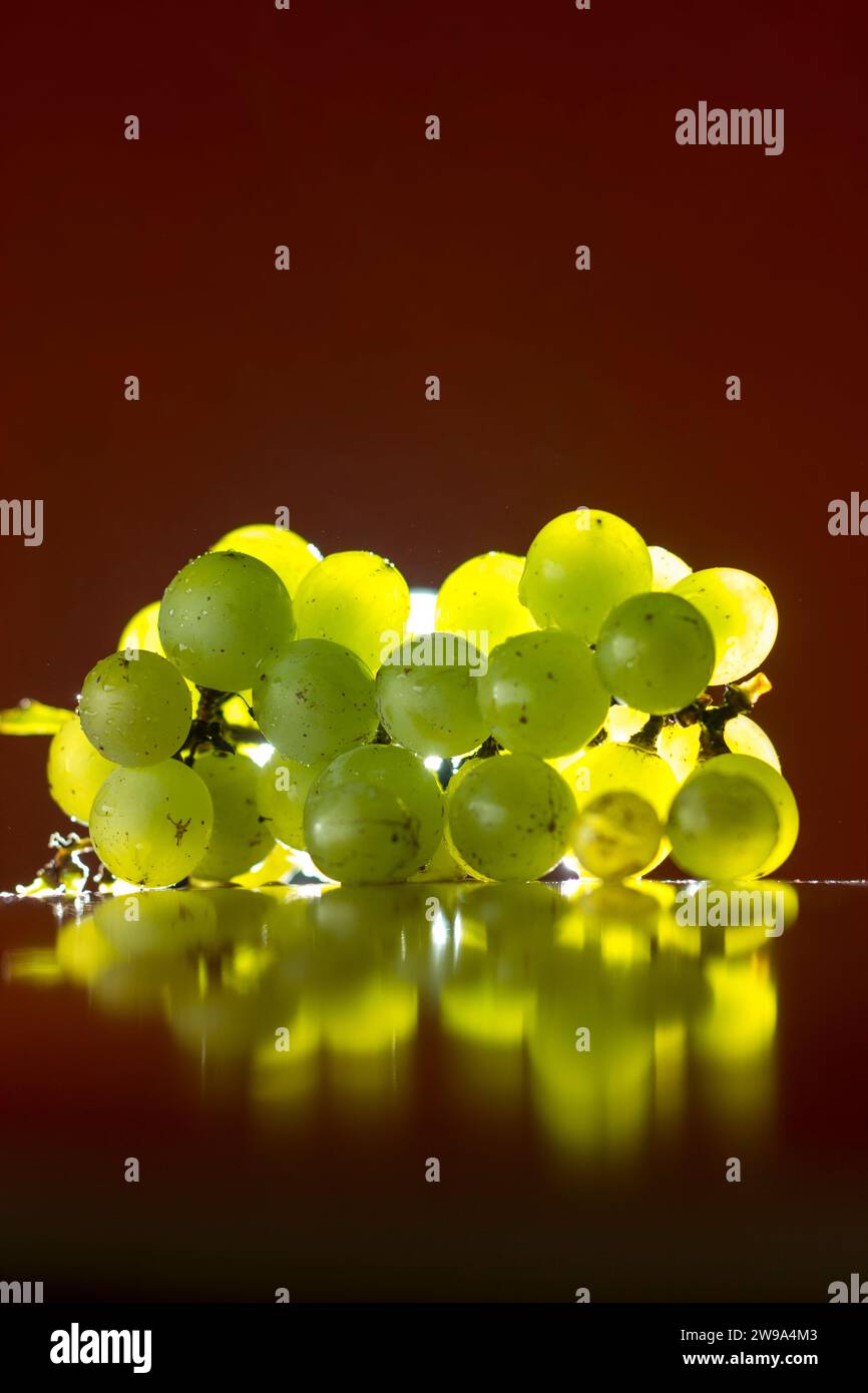 bunch of green grapes with wooden plinth isolated light from behind ...