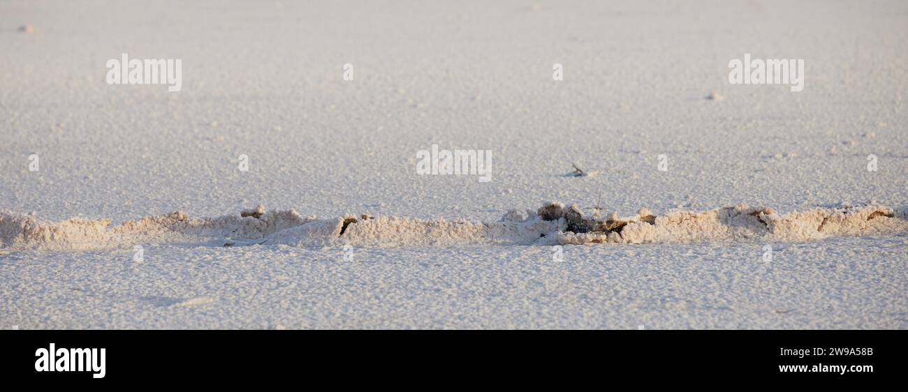 landscape of dry salt lake bed, cracked surface. Natural salt Close up ...