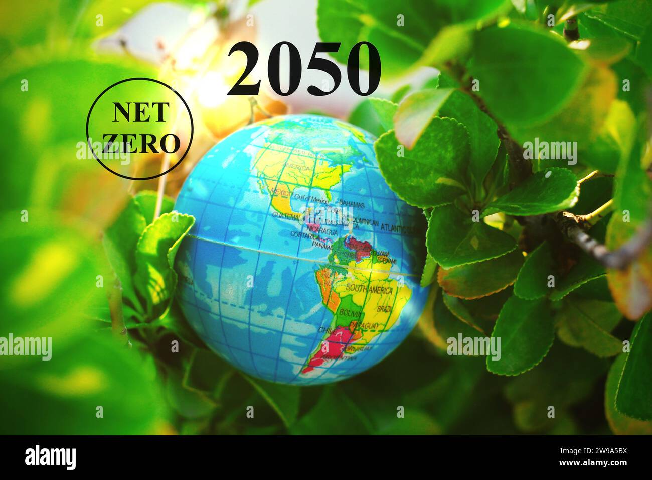 Net zero 2050 emissions icon concept in hand for the environment policy ...
