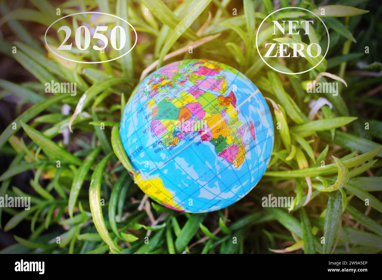 Net zero 2050 emissions icon concept in hand for the environment policy ...