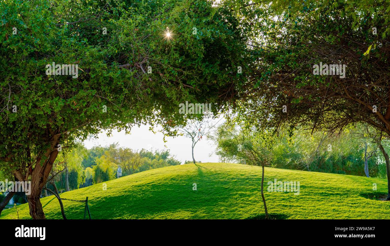 Doha, Qatar- December 12,2023 : Quranic Botanic Garden at education ...