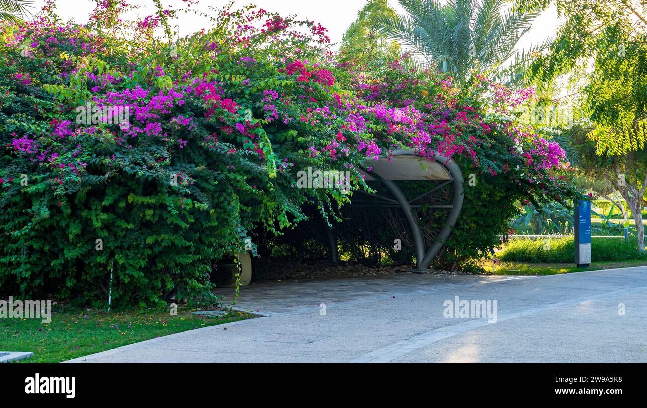 Doha, Qatar- December 12,2023 : Quranic Botanic Garden at education ...