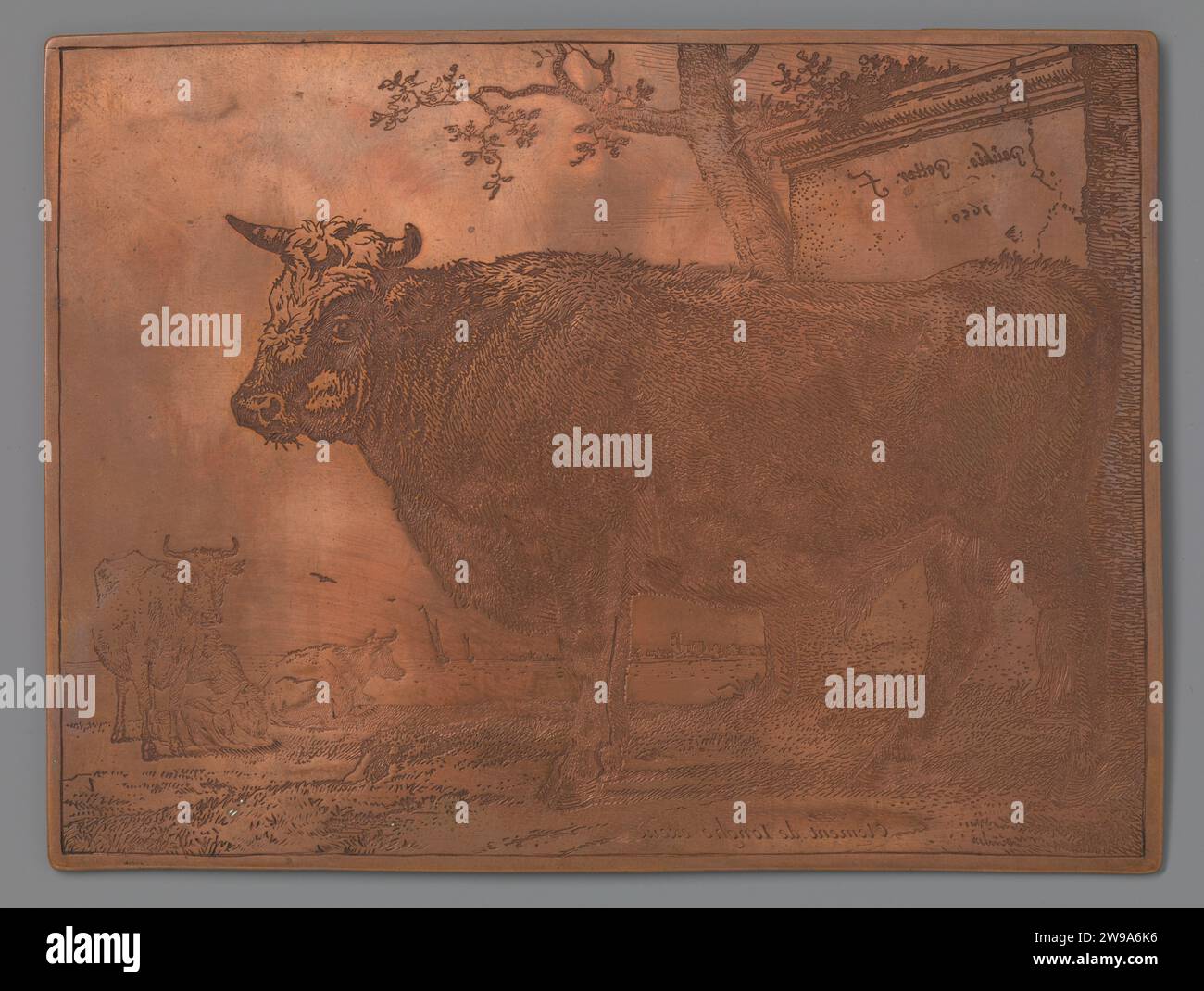 Paths, 1650 copper (metal) etching bull Stock Photo - Alamy