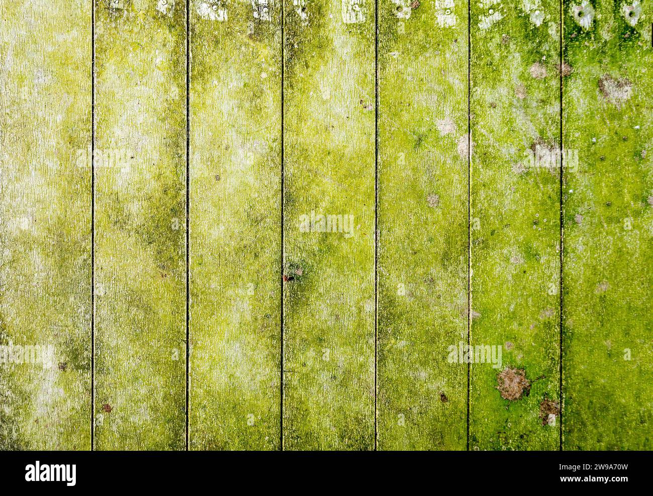 natural green wood texture background Stock Photo - Alamy