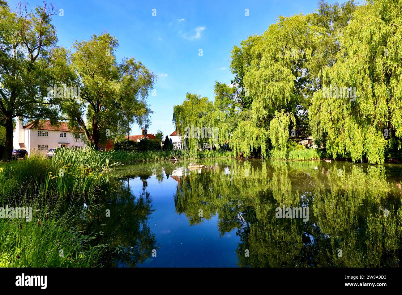 Holyport Village Pond Stock Photo - Alamy