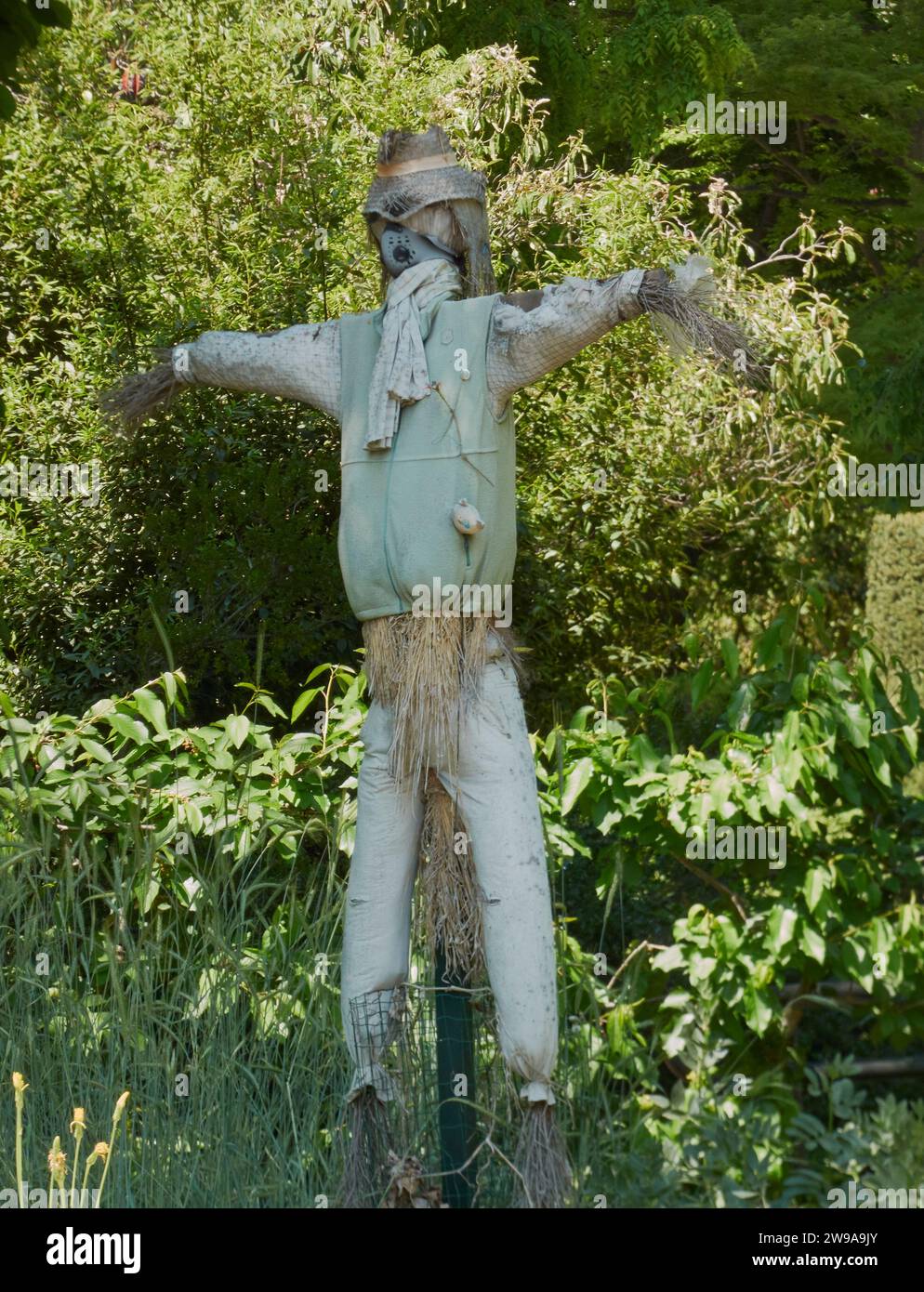 Arms stretched vertical hi-res stock photography and images - Alamy
