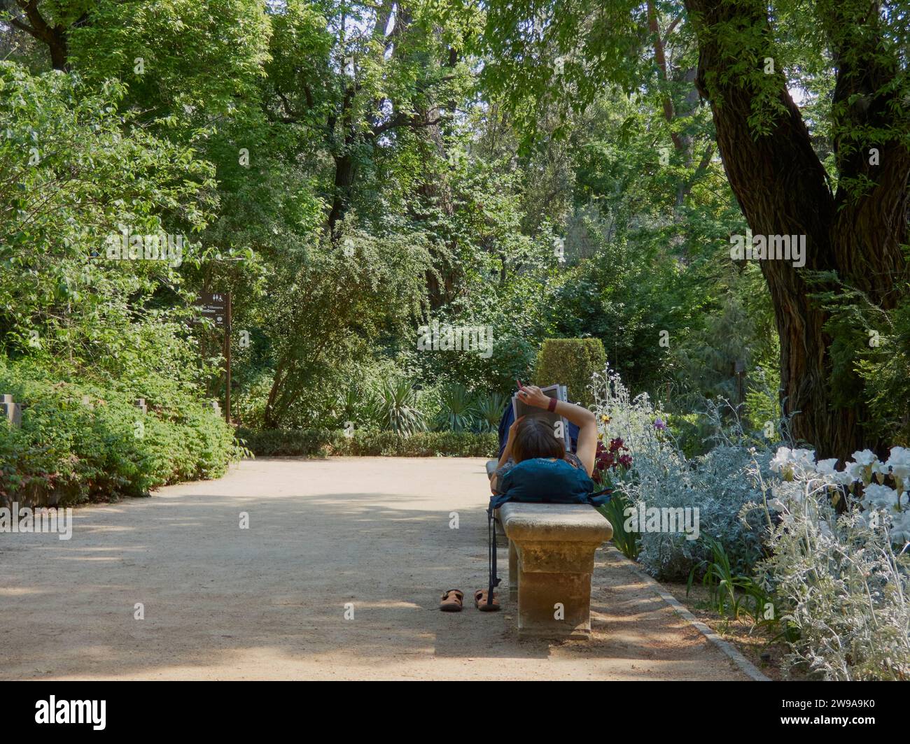 A woman lying on a bench in a green park, reading a paper Stock Photo ...