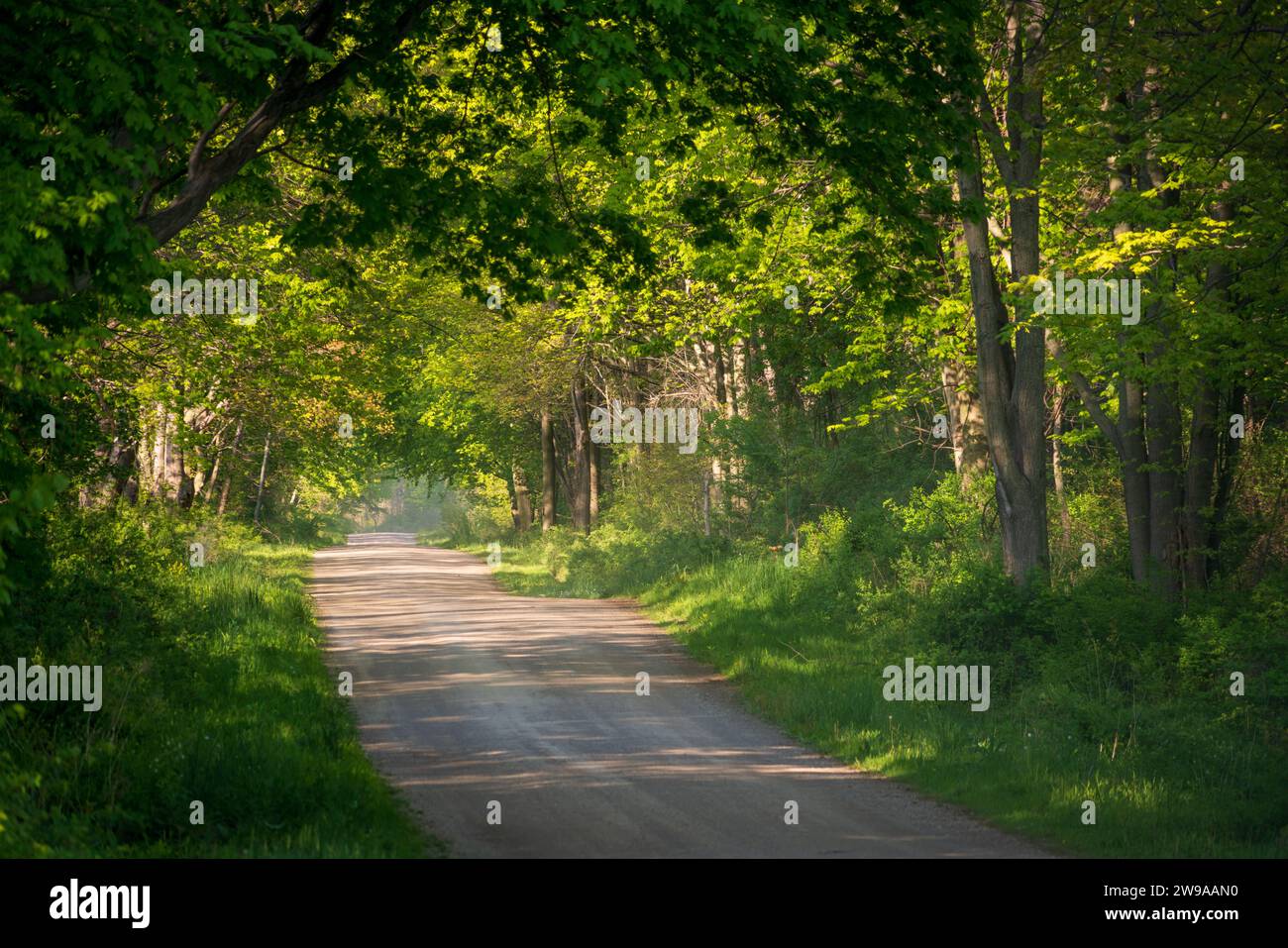 Dirt Road at The Lake Erie Community Park, USA Stock Photo - Alamy