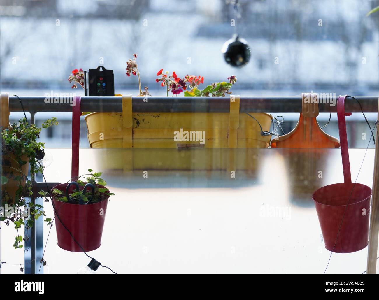 A window box balcony garden at a London apartment Stock Photo - Alamy