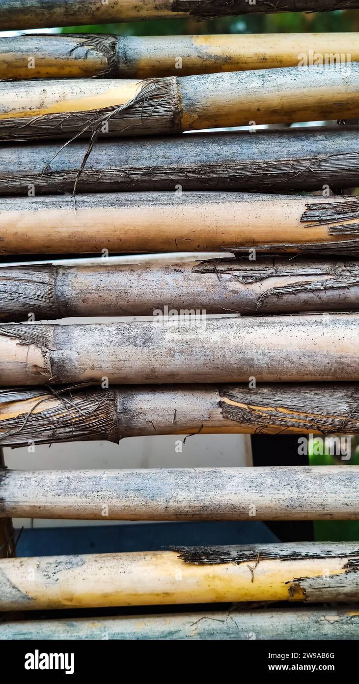 Background texture of dry reed cane. Flat lay, vertical frame, close-up ...