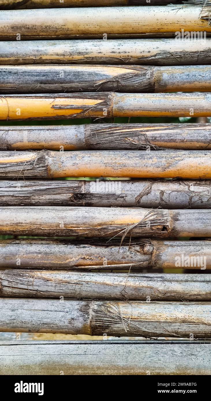 Background texture of dry reed cane. Flat lay, vertical frame, close-up ...