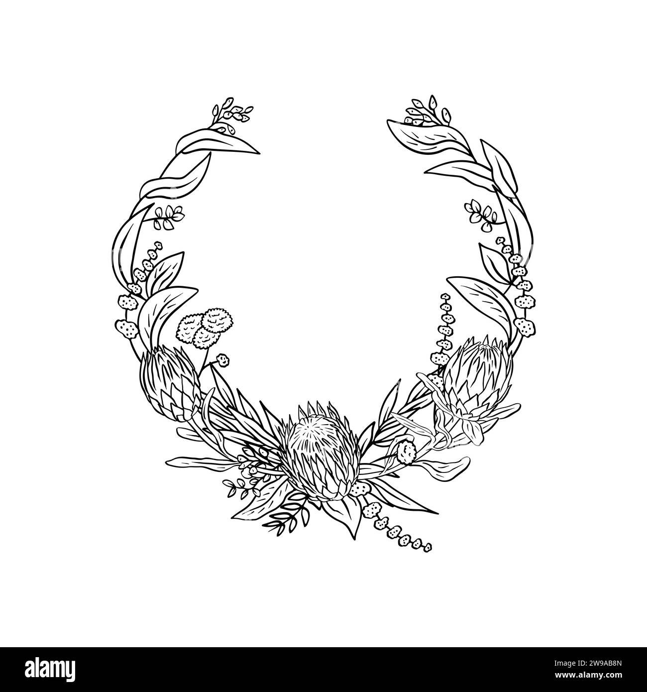 Hand drawn monochrome line art tropical protea flower round frame Stock ...