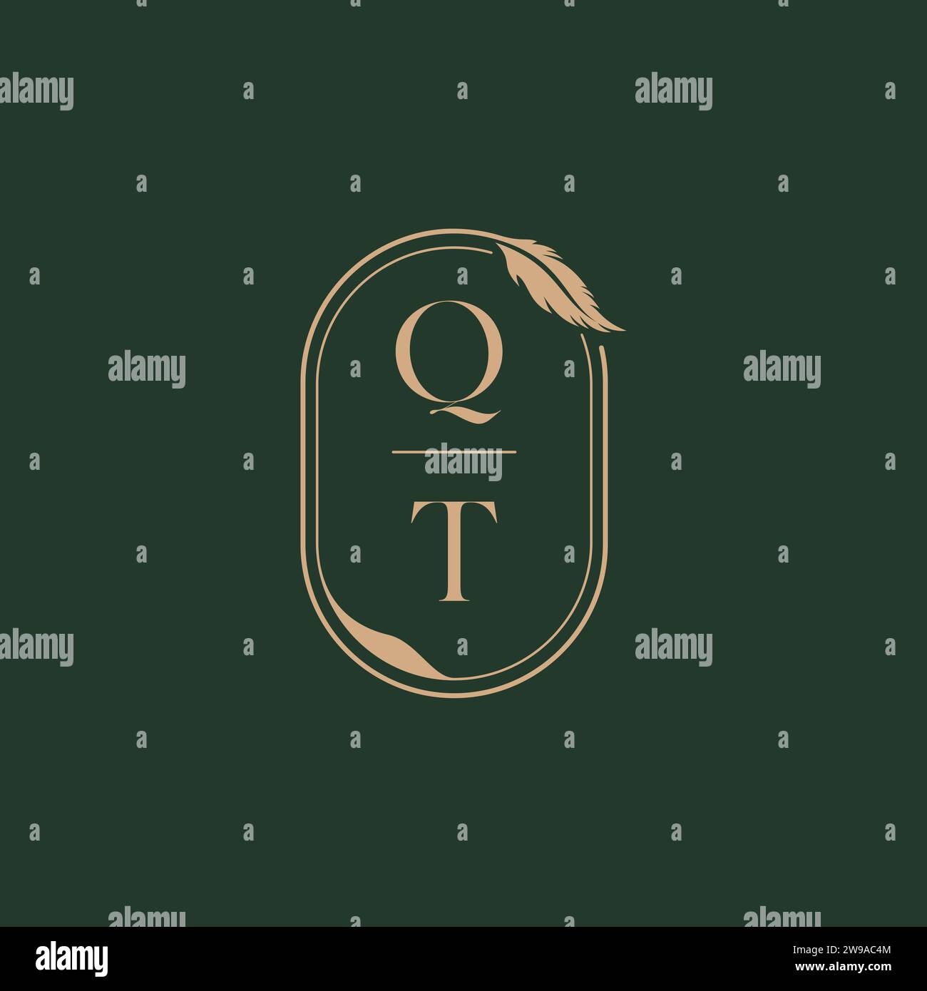 QT feather concept wedding monogram logo design ideas as inspiration ...