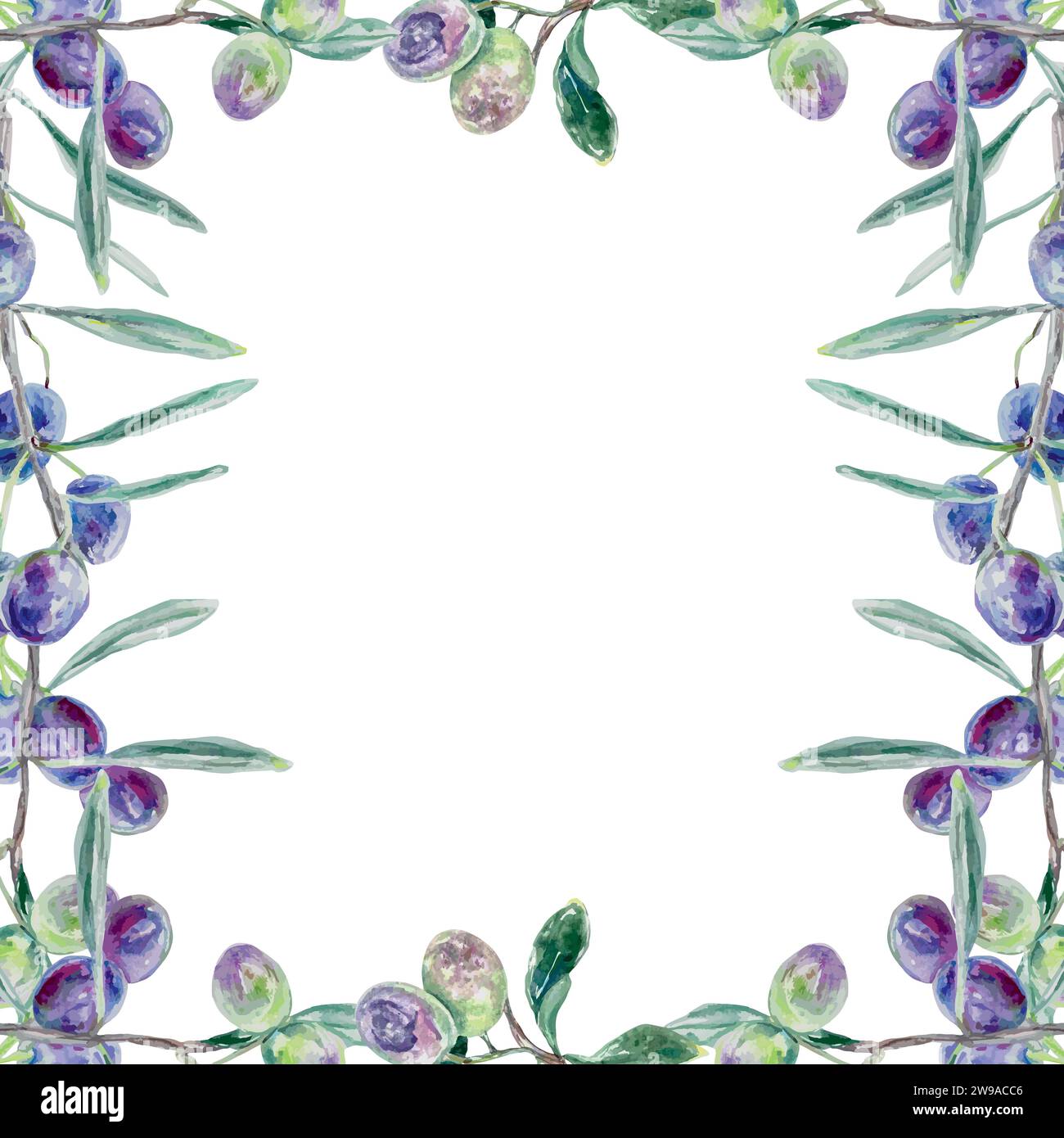 Olive branch watercolor. Vector illustration of a square frame. Food ...