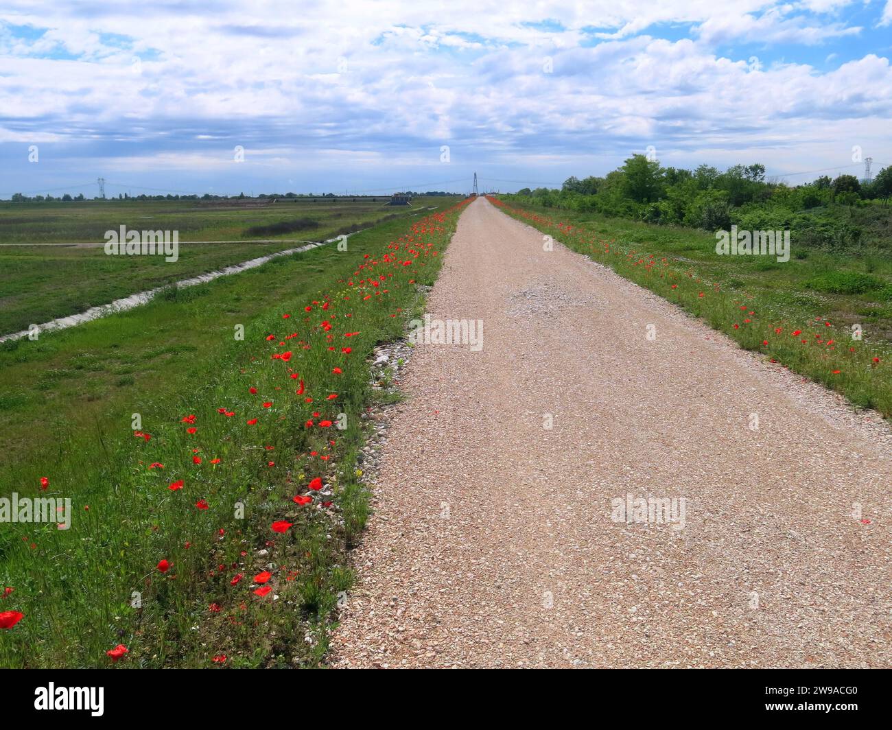 Wide cycle path on dirt road with stones built above the river bank ...