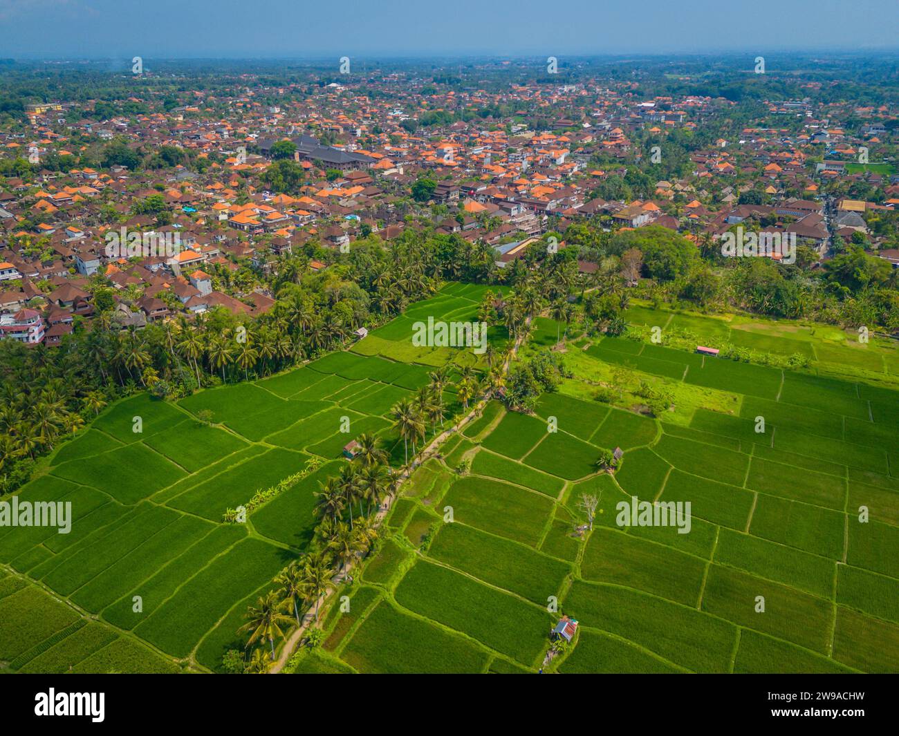 Aerial drone view of the Ubud historical city center with temples and ...