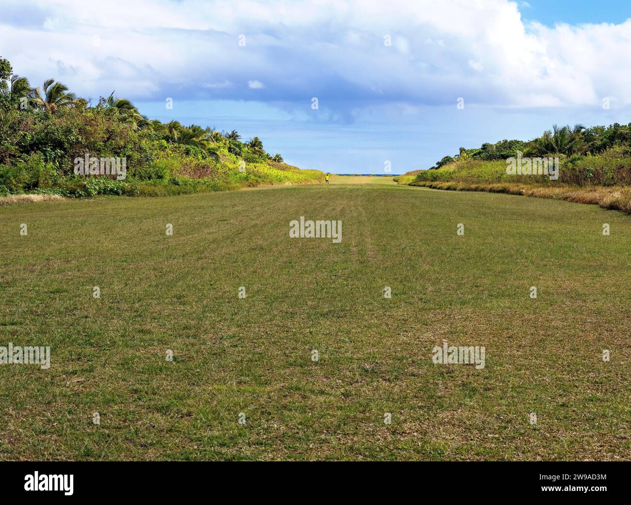 South Pacific Cruise / Cruise ship passengers from Carnival Splendor ...