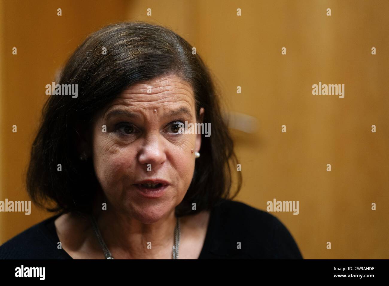 Mary lou mcdonald dail hi-res stock photography and images - Alamy