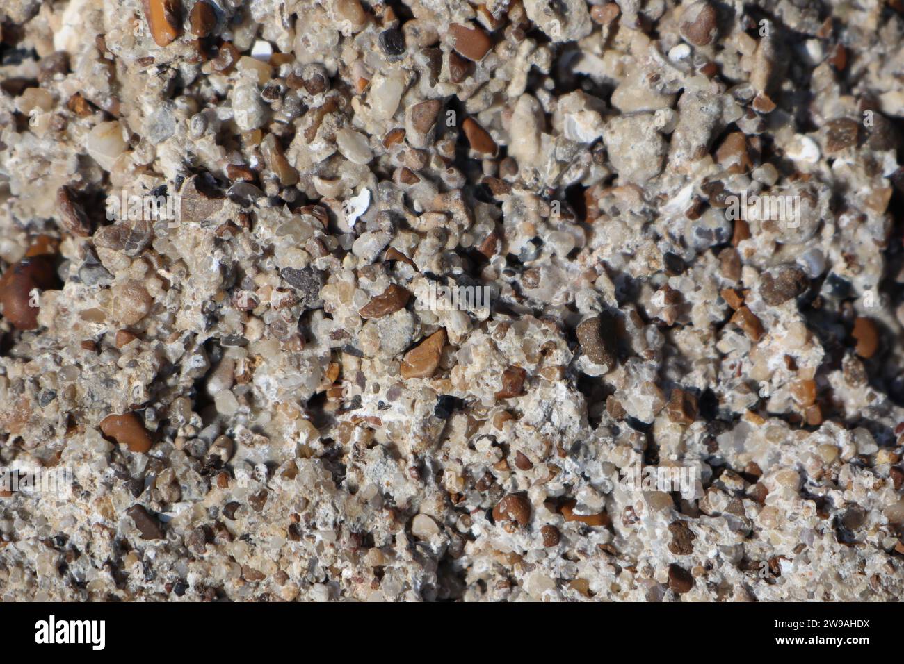 An ancient piece of cement from the bottom of the ocean that glued ...