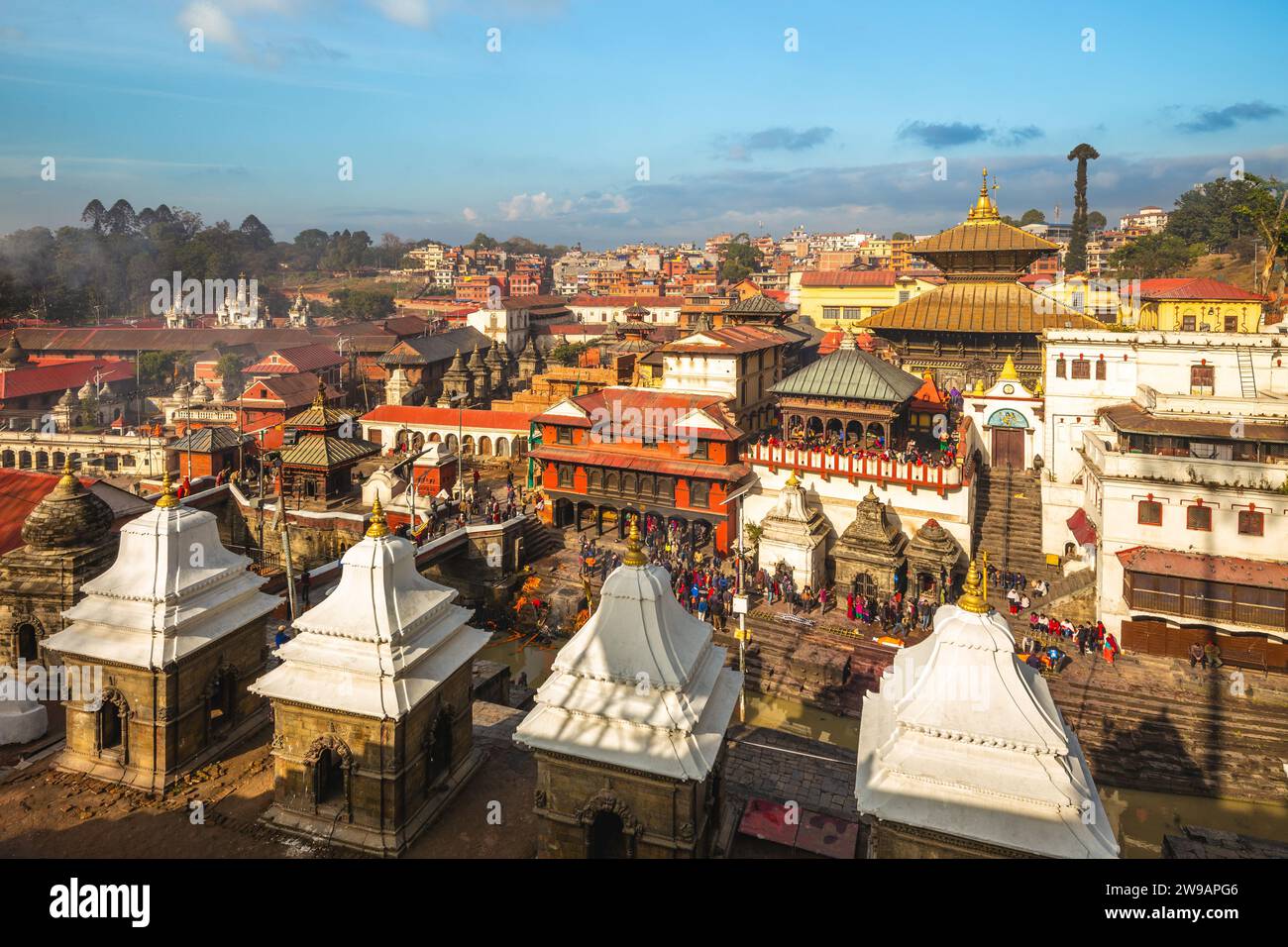 Pashupatinath Temple by Bagmati river, Kathmandu, Nepal Stock Photo - Alamy