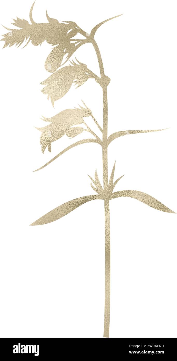 Wildflower in gold with transparent background Stock Vector Image & Art ...