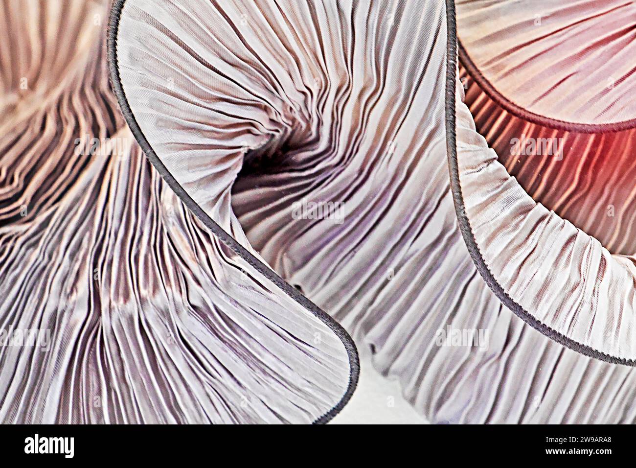 abstract light background with wavy gray transparent thin abstract ...