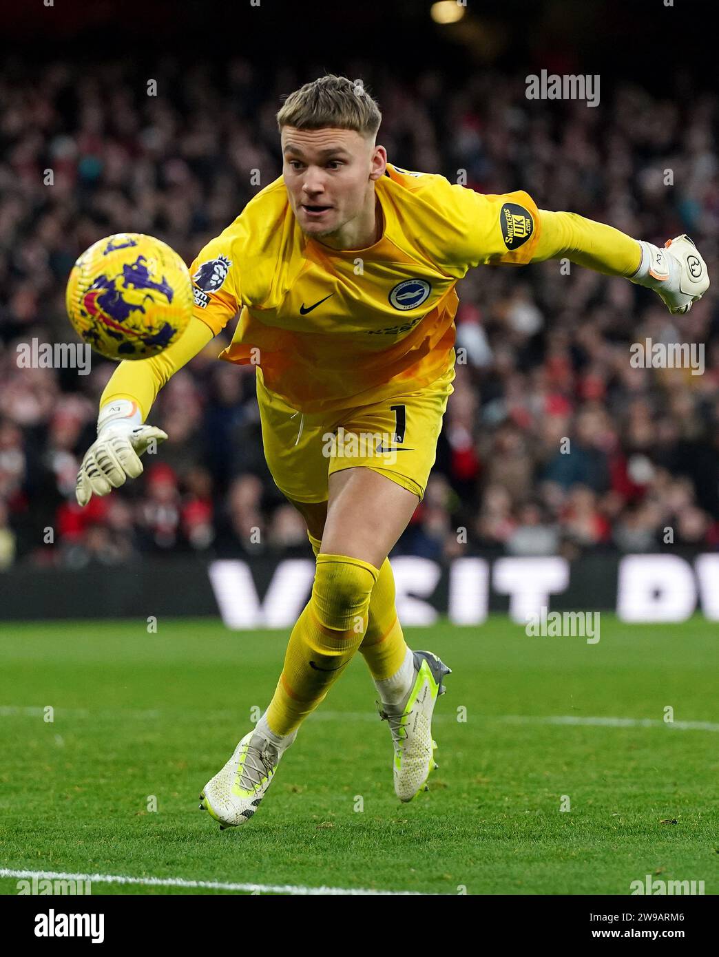 Brighton and Hove Albion goalkeeper Bart Verbruggen during the Premier ...
