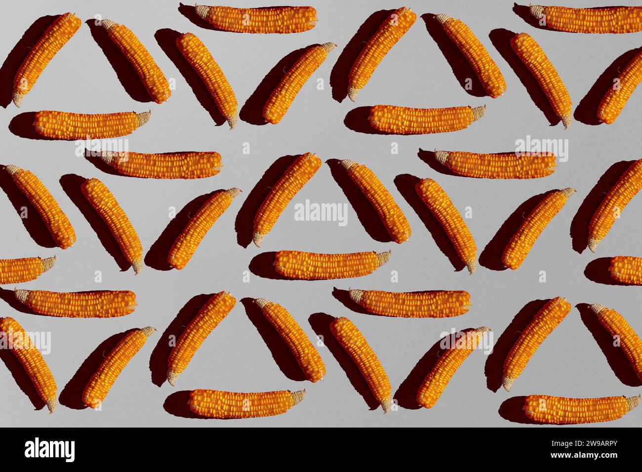 Corn cob seamless pattern. Isolated vegetable style wallpaper ...