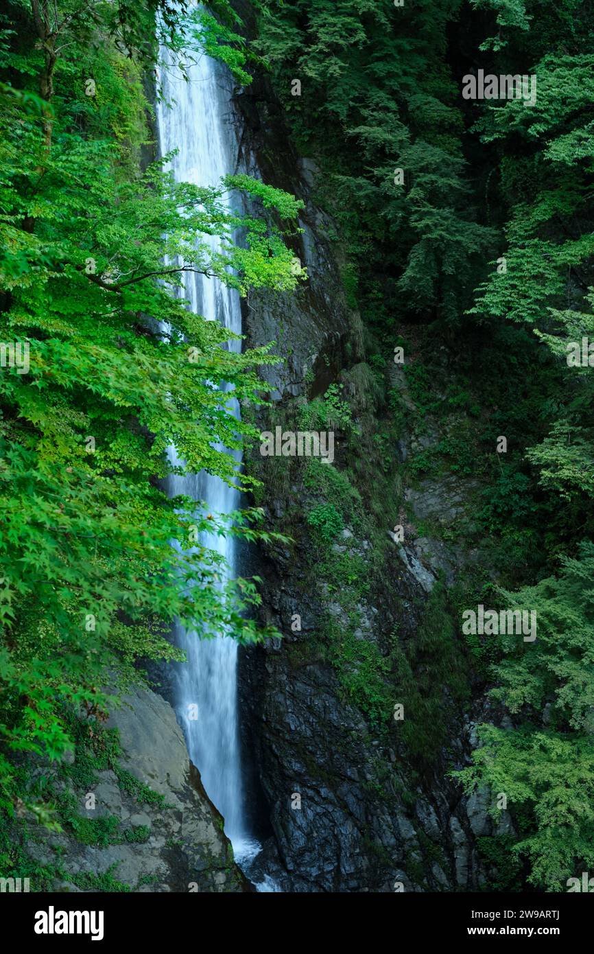 Shasui Falls, a 3-tier waterfall in Yamakita, Kanagawa, Japan Stock ...