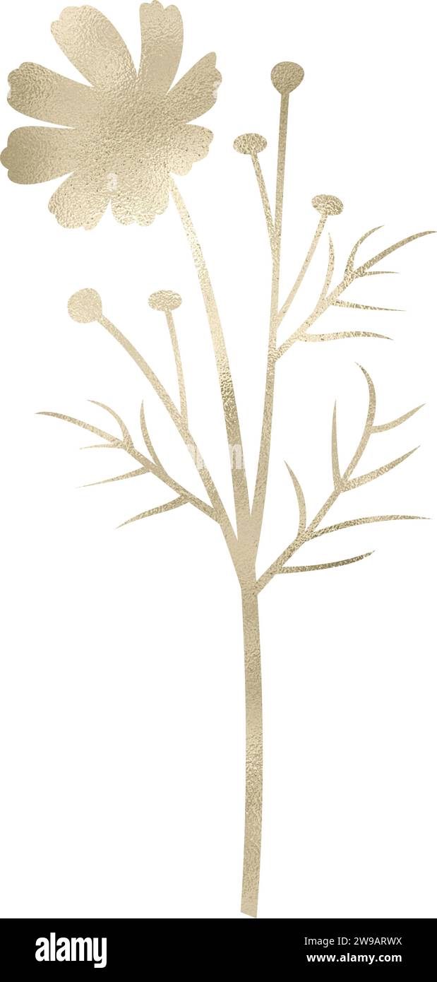 Wildflower in gold with transparent background Stock Vector Image & Art ...