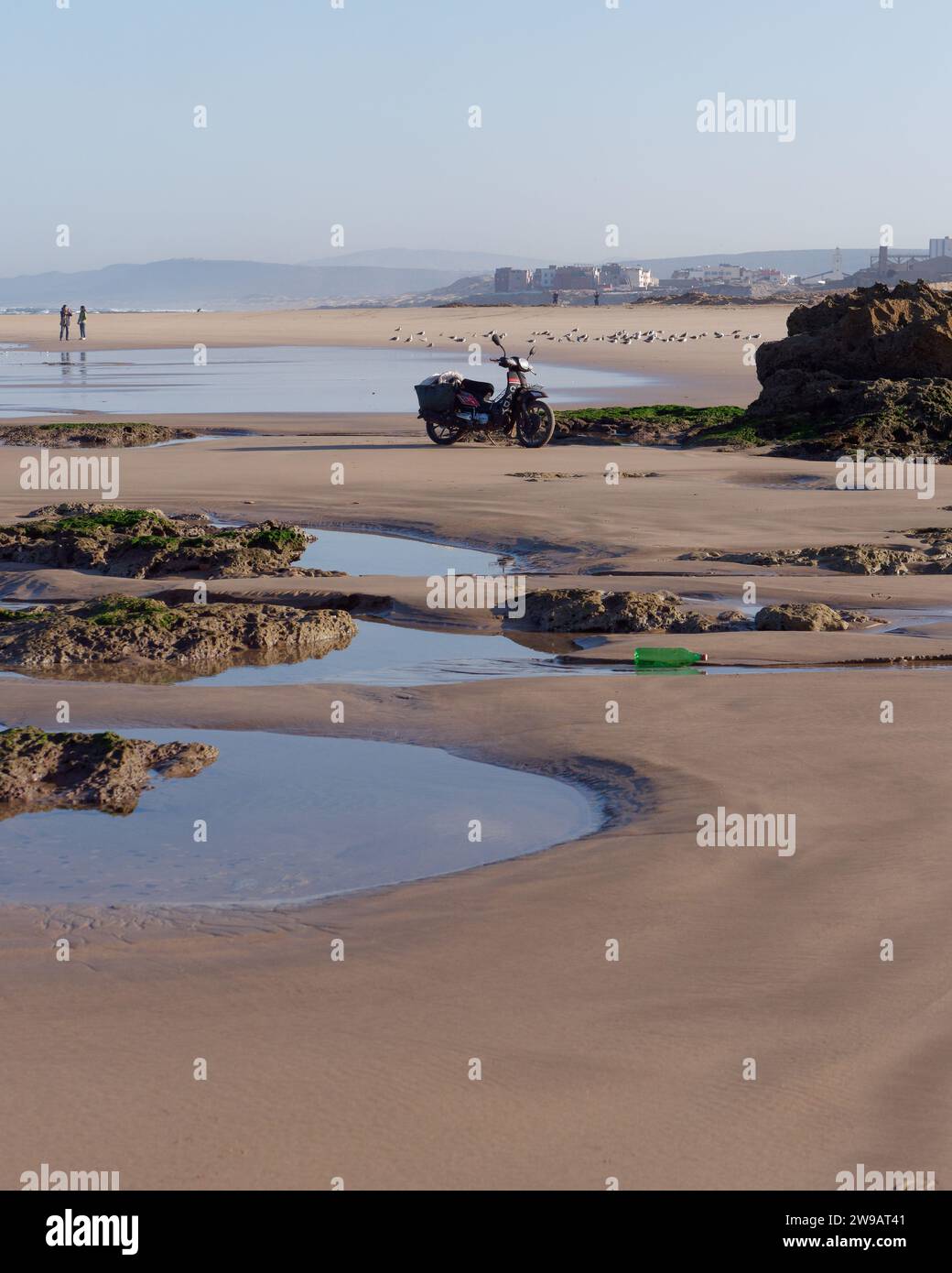 Motorbike stands besides tidal pools and rock outcrop with birds and ...